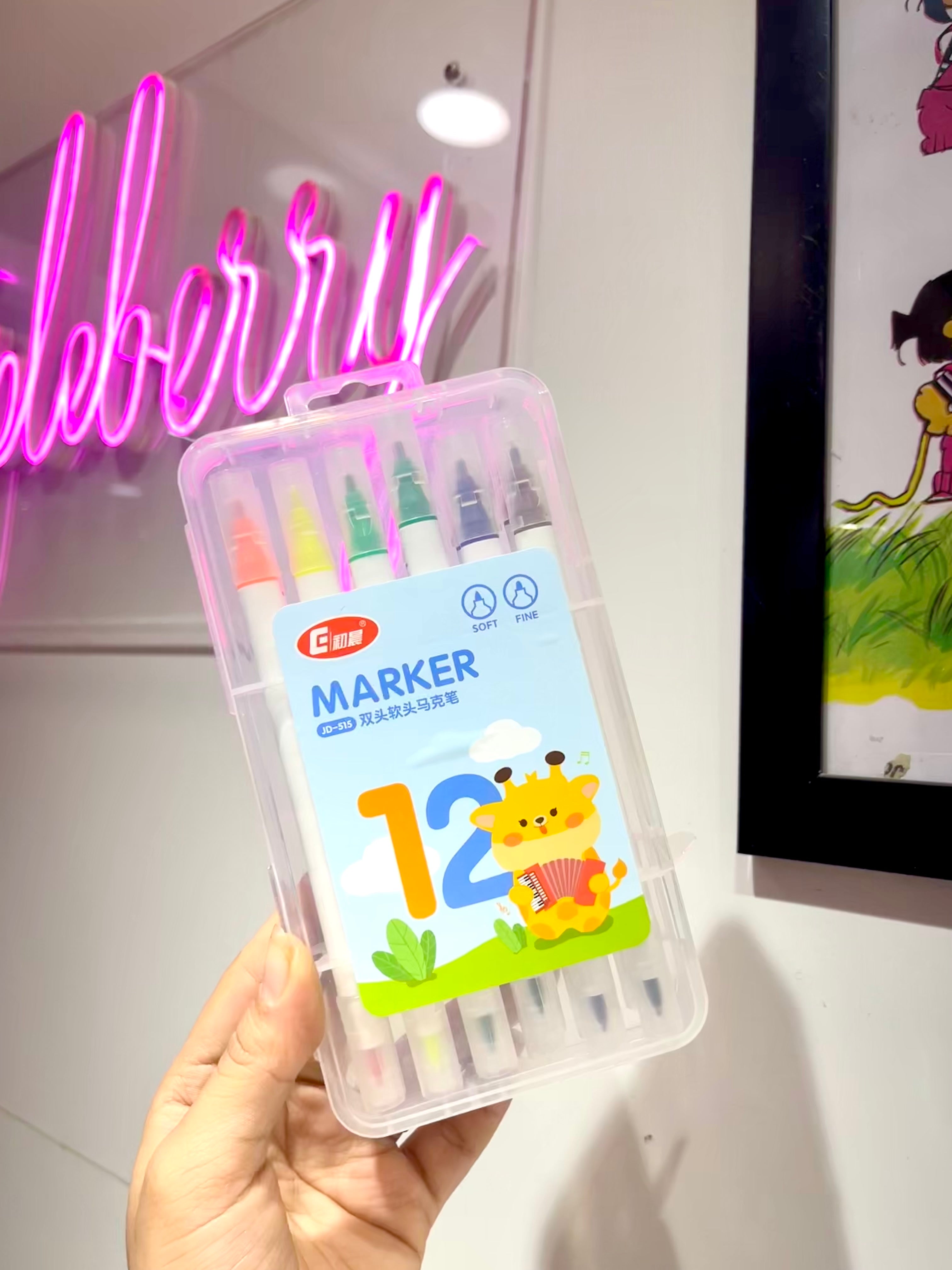 Dual tip markers ( pack of 12) | markers set – Stapleberry